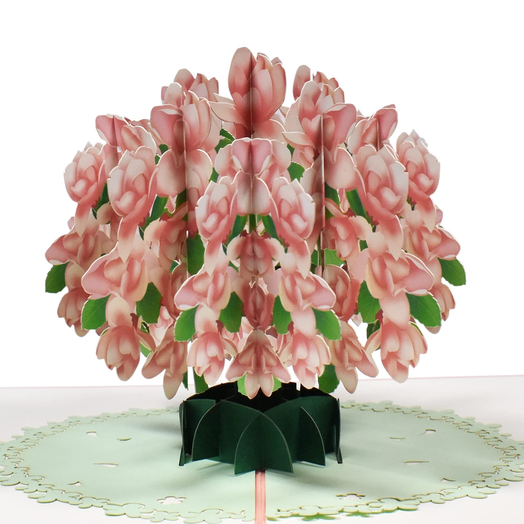 Magic Ants 3D Magnolia Pop Up Flower Card - Perfect for Mother's Day, Spring, Father's Day, Graduation, Birthdays, Weddings, Anniversaries, and More - Express Your Wishes for All Occasions