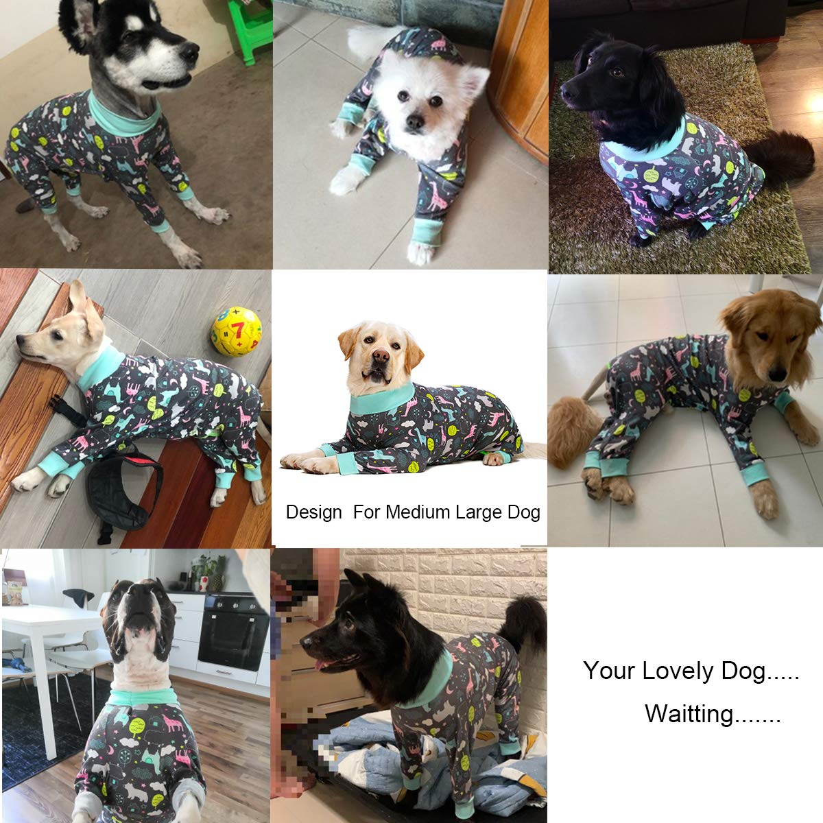 Miaododo Surgery Recovery Suit Female Male for Dogs After Surgery Medium Large Dogs Onesie,Lightweight Dog Recovery Suit for Shedding Prevent Licking Surgical Wound,Dog Pajamas Pjs,Full Belly