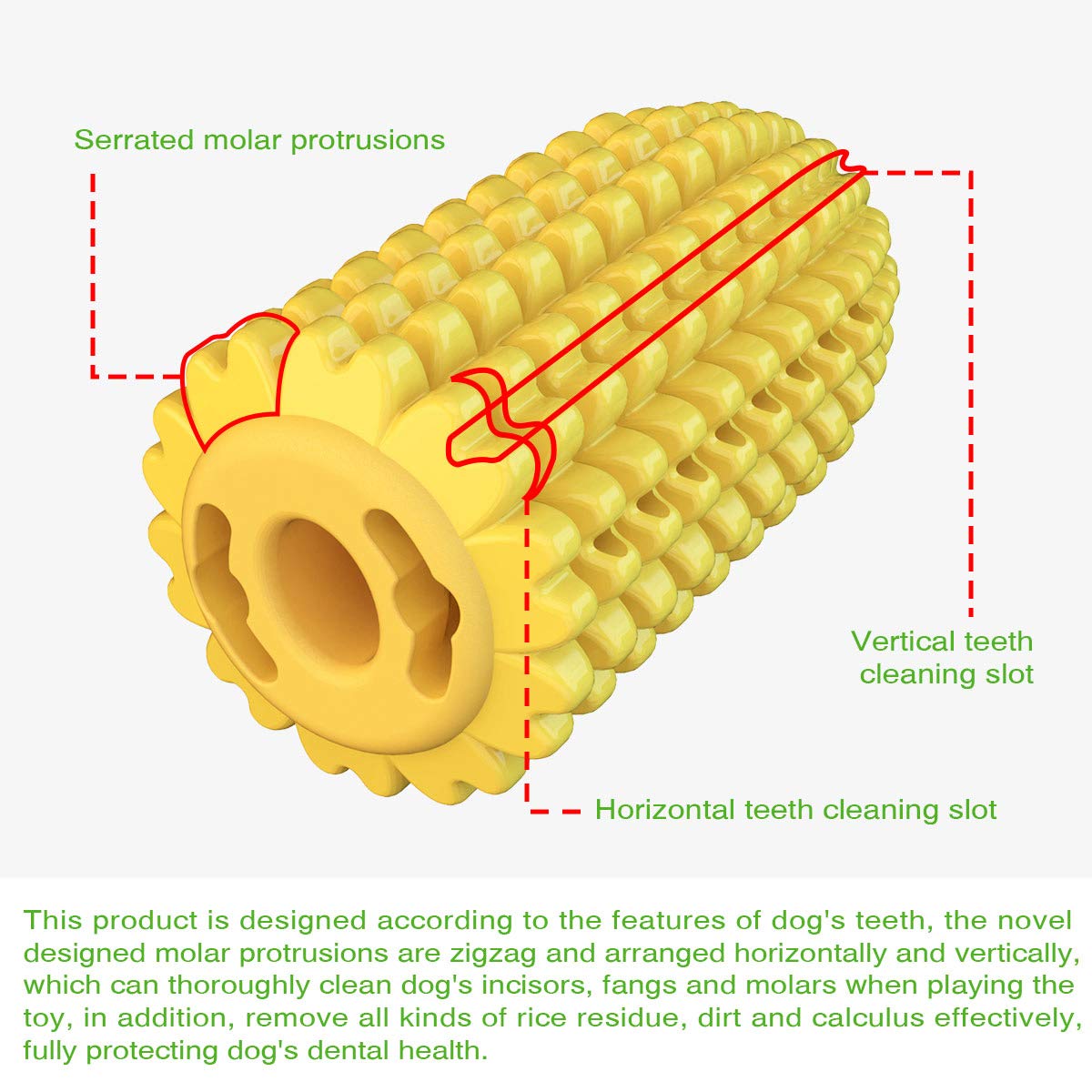 Dog Toothbrush Chew Toy,Natural Durable Rubber Dental Oral Care for Small/Medium/Large Dogs,Soft Bite Corn Molar Stick with Rope