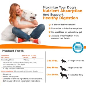 Pet Probiotics for Dogs Supplement - Supports Digestive Enzymes for Nutrient Absorption - 15 Billion Active Probiotic Cultures Attack Inflammation to Prevent Infection