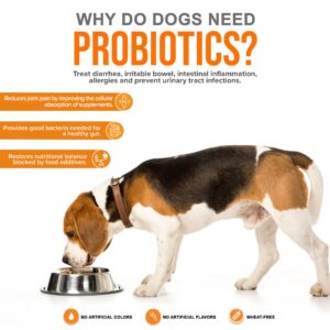 Pet Probiotics for Dogs Supplement - Supports Digestive Enzymes for Nutrient Absorption - 15 Billion Active Probiotic Cultures Attack Inflammation to Prevent Infection