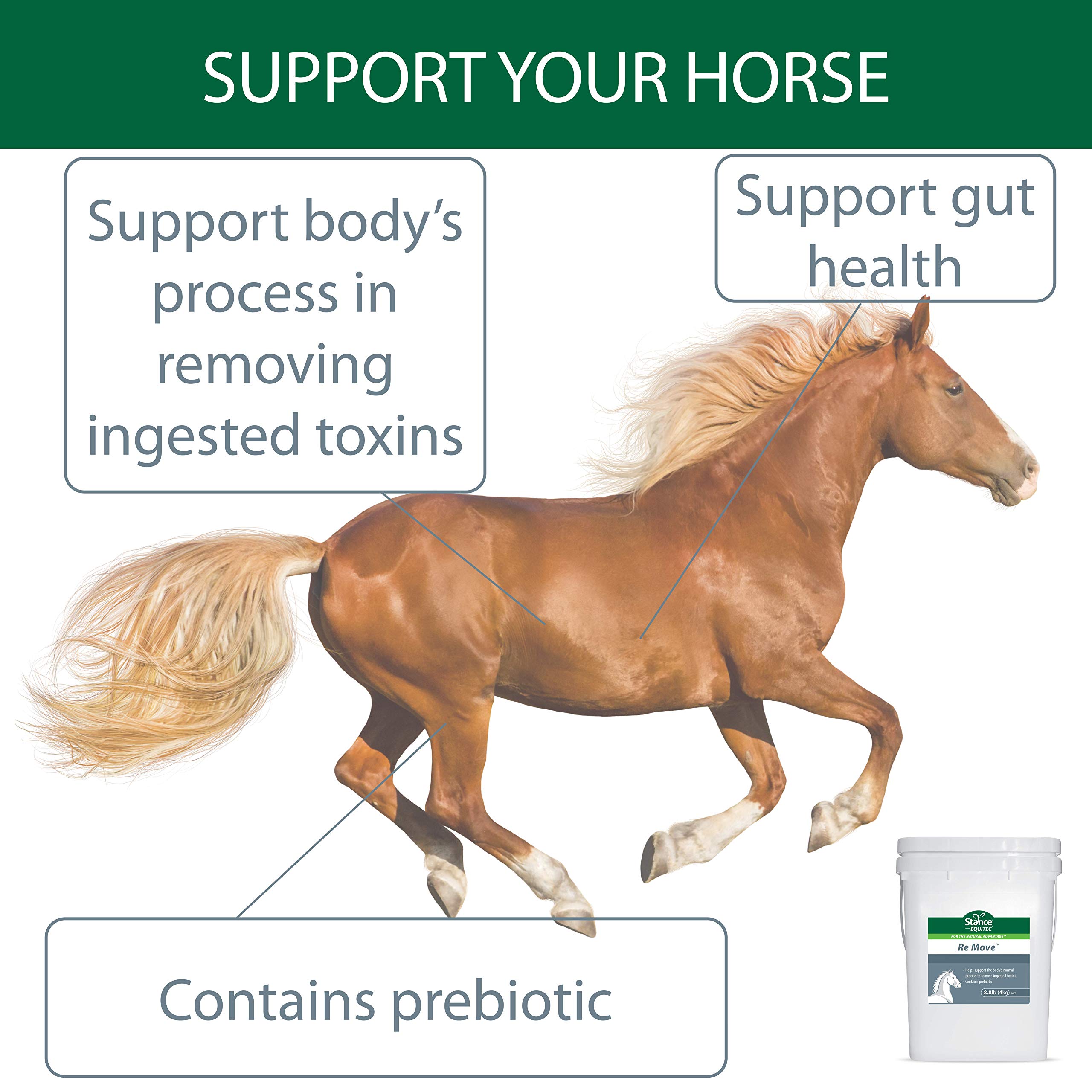 Stance Equitec Re Move - Horse Supplements That Support The Body's Normal Process to Remove Ingested Toxins, Contains Probiotics - 1.8 lb