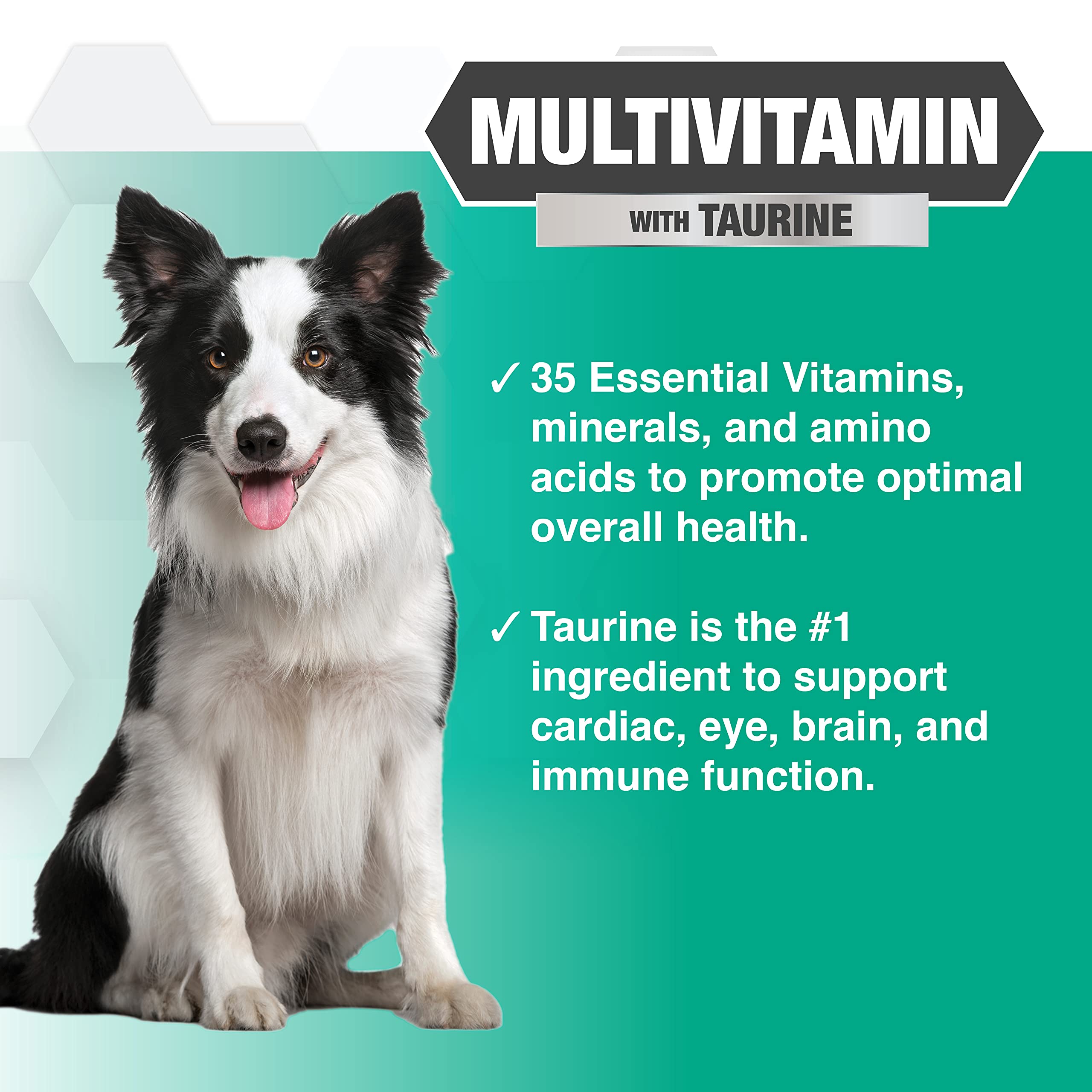 Nootie Progility Multvitamin for Dogs, Multivitamin Supplement for Dogs with Taurine, 90 Soft Chews per Container