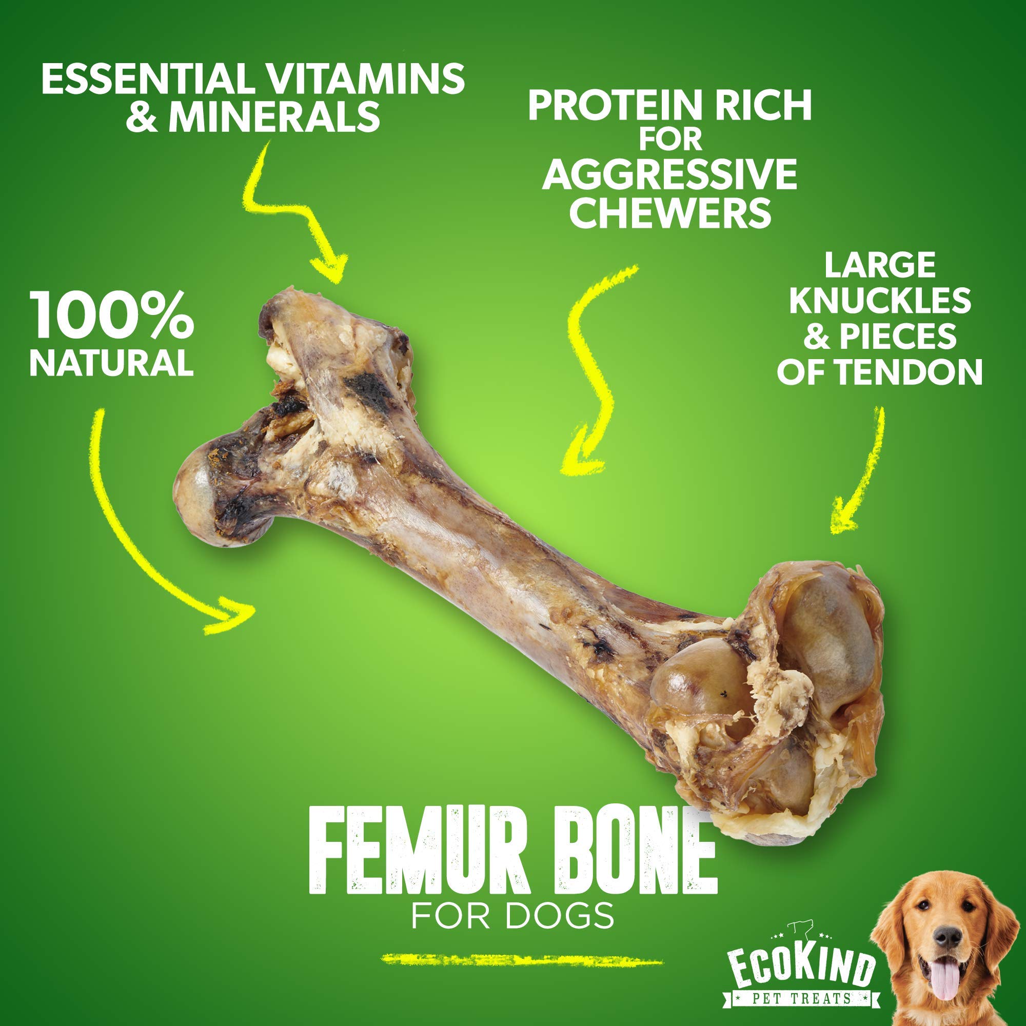 EcoKind Premium Giant Mastedon Femur Bone for Dogs | 1 Giant Bone | All Natural Femur Bone for Large Dogs and Aggressive Chewers