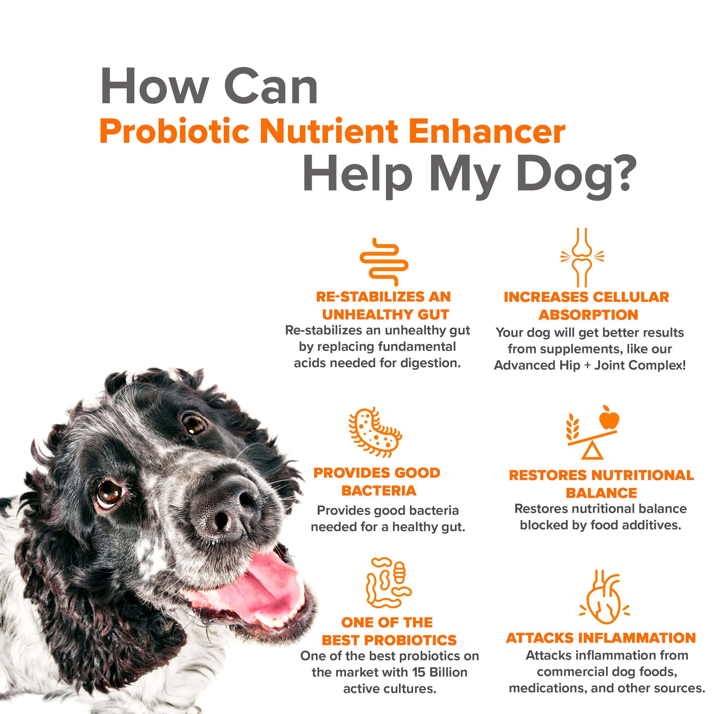 Pet Probiotics for Dogs Supplement - Supports Digestive Enzymes for Nutrient Absorption - 15 Billion Active Probiotic Cultures Attack Inflammation to Prevent Infection