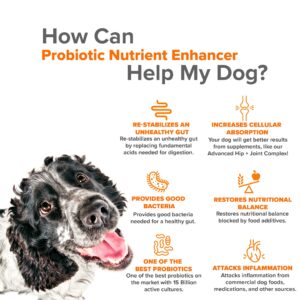 Pet Probiotics for Dogs Supplement - Supports Digestive Enzymes for Nutrient Absorption - 15 Billion Active Probiotic Cultures Attack Inflammation to Prevent Infection