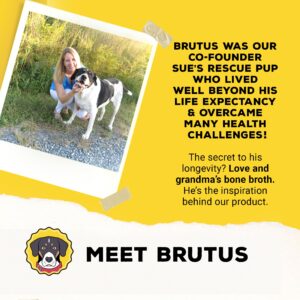 Brutus Bone Broth for Dogs - Bone Broth Powder with Chondroitin Glucosamine & Turmeric - Human Grade Dog Food Toppers for Dry Food & Picky Eaters - 10 Stick (Beef)