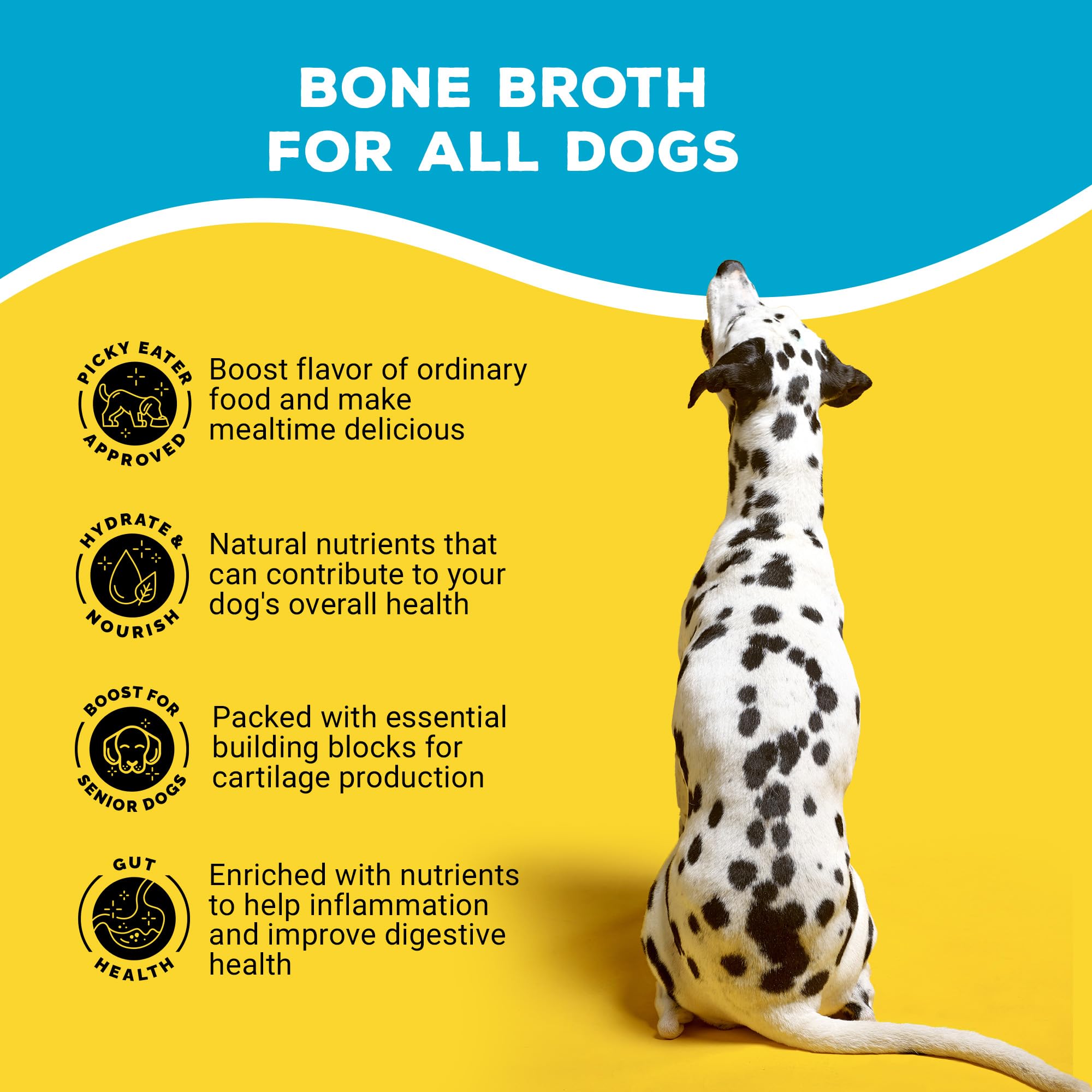 Brutus Bone Broth for Dogs - Bone Broth Powder with Chondroitin Glucosamine & Turmeric - Human Grade Dog Food Toppers for Dry Food & Picky Eaters - 10 Stick (Beef)