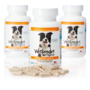 pet probiotics for dogs supplement - supports digestive enzymes for nutrient absorption - 15 billion active probiotic cultures attack inflammation to prevent infection