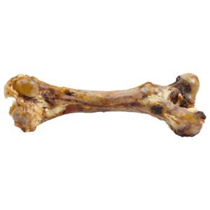 ecokind premium giant mastedon femur bone for dogs | 1 giant bone | all natural femur bone for large dogs and aggressive chewers