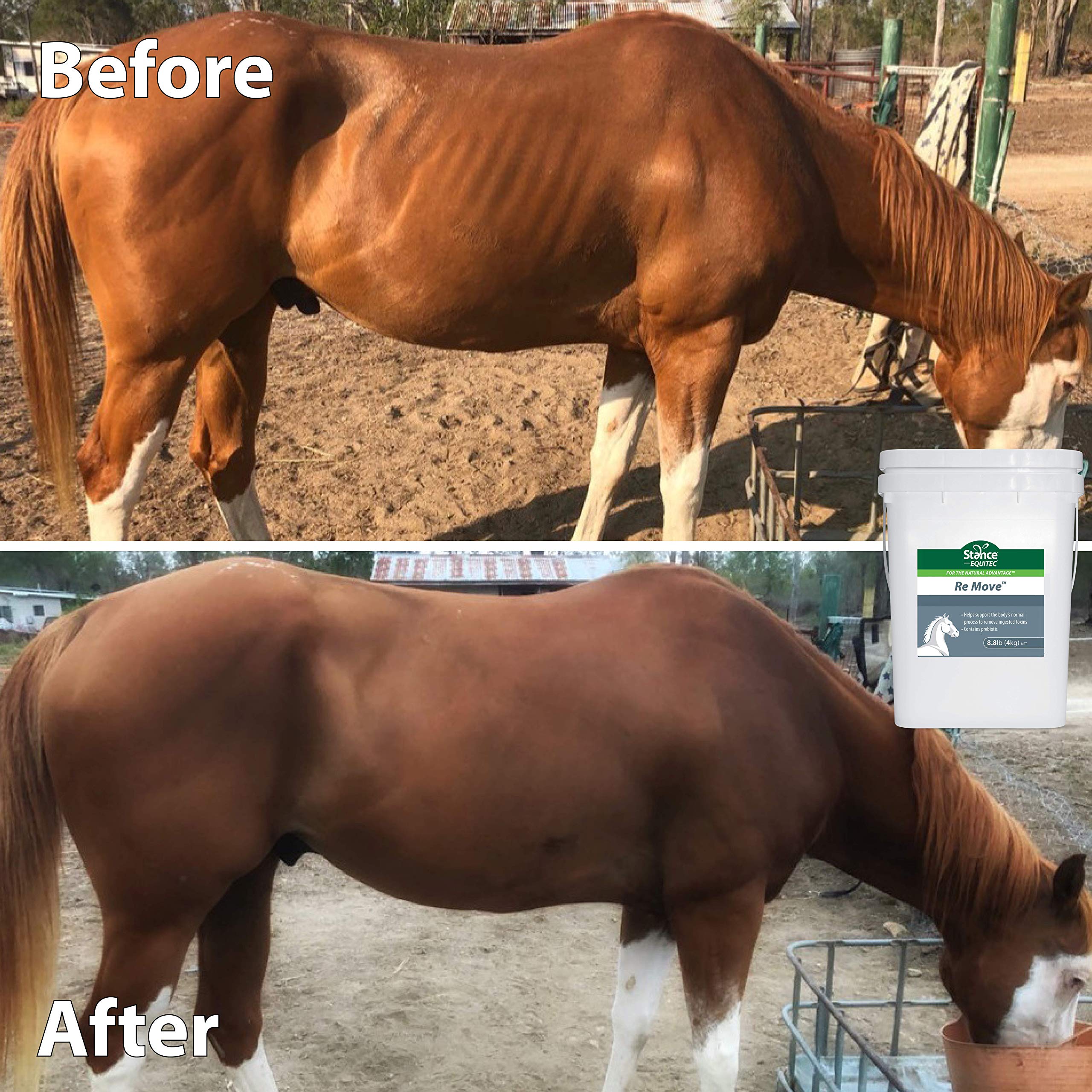 Stance Equitec Re Move - Horse Supplements That Support The Body's Normal Process to Remove Ingested Toxins, Contains Probiotics - 1.8 lb