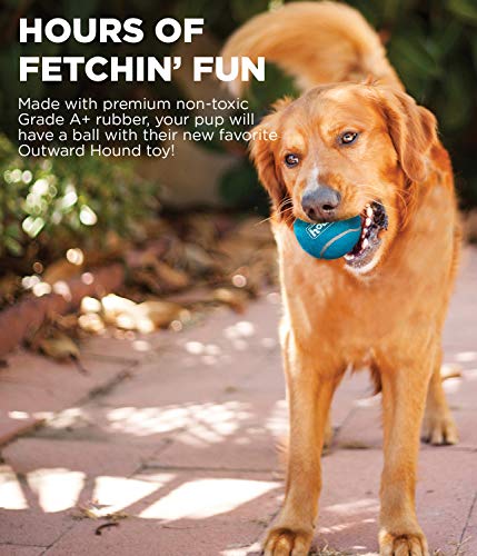 Outward Hound Tennis Ballz Fetch Dog Toy, 4-Pack