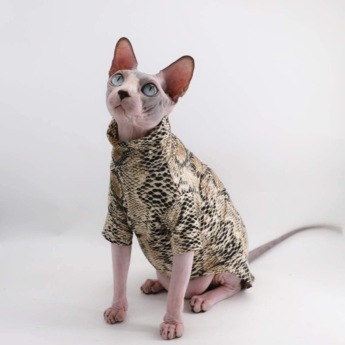 Limited Edition Cool Sphynx Hairless Cat Summer Snake Skin Pattern Cotton T-Shirts Pet Clothes, Round Collar Vest Kitten Shirts Sleeveless, Cats & Small Dogs Apparel (L (6.6-8.8 lbs), Black)