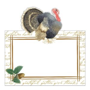 Caspari Founders' Thanksgiving Die-Cut Name Place Cards - 8 Per Package