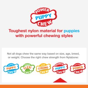 Nylabone Puppy Power Chew Toy - Tough and Durable Puppy Chew Toy for Teething - Puppy Supplies - Beef Broth & Vegetable Flavor, Small (1 Count)