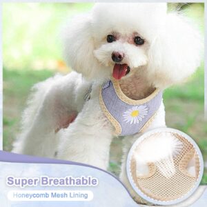 PETCARE Cute Small Dog Harness and Leash Set with Bags No Pull Daisy Dog Vest Harness Soft Breathable Mesh Puppy Dog Harness for Small Dogs Cats Spring Summer Yorkies Shih Tzu (Yellow,Small)