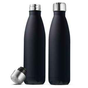 finedine triple-insulated stainless-steel water bottle (set of 2) 17 oz, sleek bottles, keeps hot & cold, 100% leakproof, sweatproof water bottles, great for travel, picnic, & camping