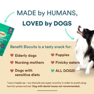 Benefit Biscuits, All Natural Dog Treats, Certified Vegan, Non GMO, Wheat Free, Healthy Dog Biscuits, Made in USA (Mint, Large Bag 1lb)