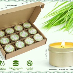 LA BELLEFÉE Citronella Candles Outdoor, Lemongrass Scented Candles,Natural Citronella Soy Candles Set,Summer Aromatherapy Candles Set for Patio Garden Balcony BBQ,Indoor/Outdoor Use (12 Pack)