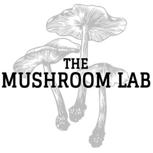 Mushroom Liquid Culture - Shiitake 3782 (Lentinula edodes)