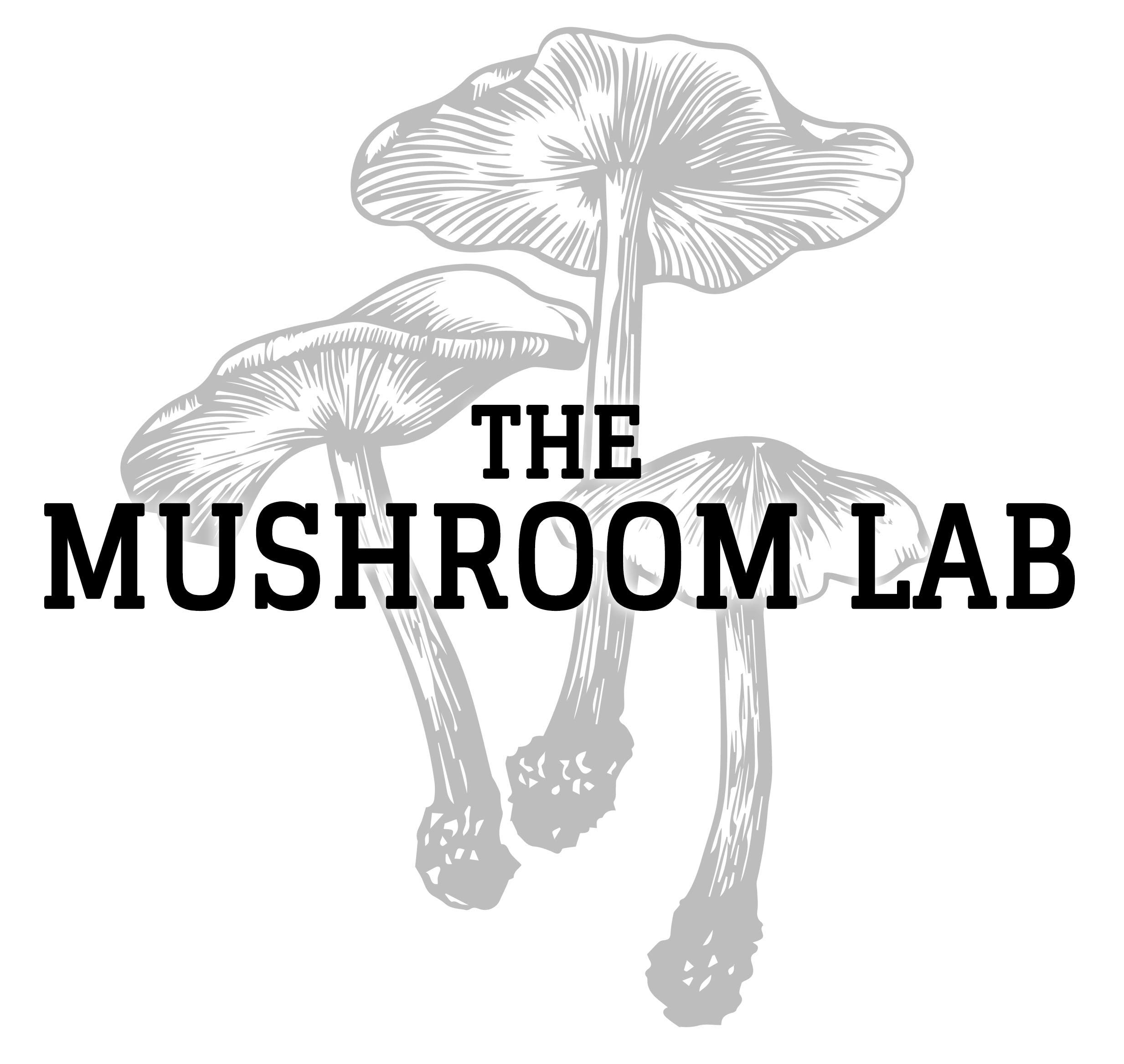 Mushroom Liquid Culture - Shiitake 3782 (Lentinula edodes)