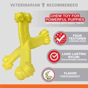 Nylabone Puppy Power Axis Chew Toy - Tough and Durable Puppy Chew Toy for Teething - Puppy Supplies - Vanilla Flavor, Small (1 Count)