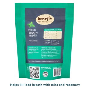 Benefit Biscuits, All Natural Dog Treats, Certified Vegan, Non GMO, Wheat Free, Healthy Dog Biscuits, Made in USA (Mint, Large Bag 1lb)