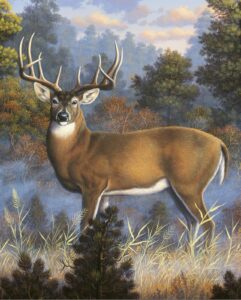 david textiles large buck deer in the first morning light 36 x 44 panel cotton fabric