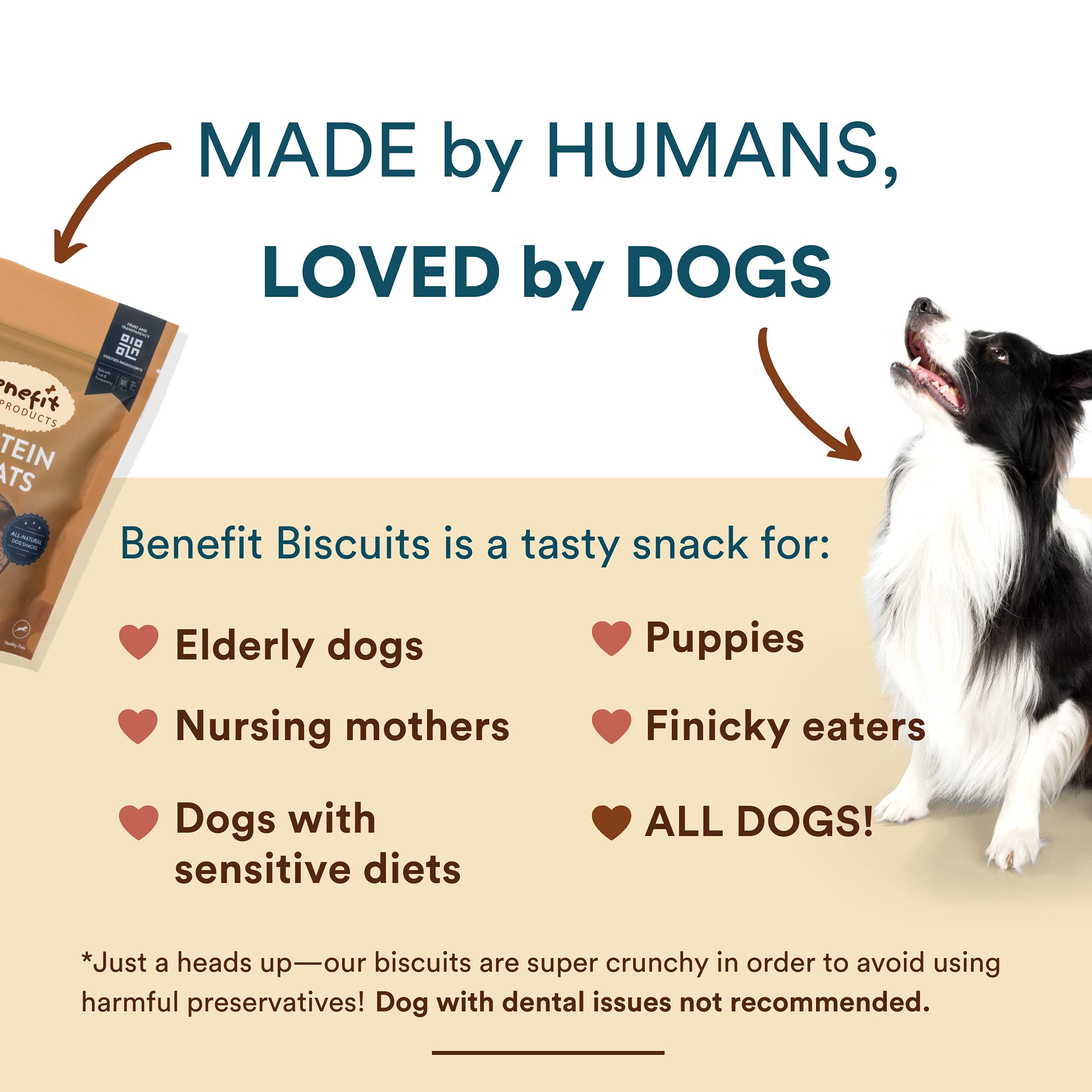 Benefit Biscuits, All Natural Dog Treats, Certified Vegan, Non GMO, Wheat Free, Healthy Dog Biscuits, Made in USA (Peanut Butter, Large Bag (1lb))