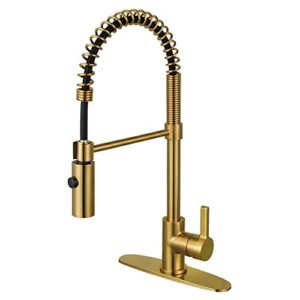 kingston brass ls8773ctl continental pre-rinse kitchen faucet, brushed brass