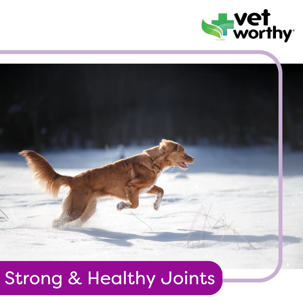 Vet Worthy Joint Support Level 3 - Chewable Tablet to Support Bone Health and Healthy Joints - Dog Supplement with Glucosamine, MSM, Hyaluronic Acid, Advanced Joint Care - Liver Flavor, 90-Count