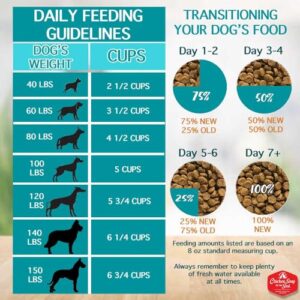 Chicken Soup for The Soul Classic Dry Large Breed Adult Dog Food, Beef & Brown Rice Recipe, 28 Pound Bag | Soy Free, Corn Free, Wheat Free, Made with Real Ingredients