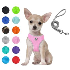 puppy harness and leash set- xs and small dog harness- soft mesh halter- adjustable reflective teacup dog harness- no pull no choke (xs, pink)