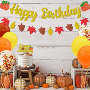 Little Pumpkin Thanksgiving Birthday Decorations Party Pack - Fall Little Pumpkin Autumn-themed Happy Birthday Baby Shower Party Supplies -Includes Cake Topper Banners and Balloons