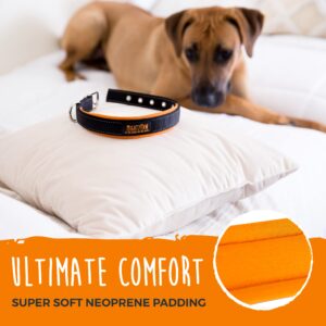 Mighty Paw Ultra Soft Dog Collar - Ultimate Comfort with Soft Neoprene Padding - All-Metal Adjustable Buckle for Large & Small Dogs - Mighty Strong for Long Lasting Durability - Fun in All Climates