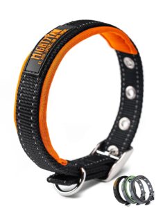 mighty paw ultra soft dog collar - ultimate comfort with soft neoprene padding - all-metal adjustable buckle for large & small dogs - mighty strong for long lasting durability - fun in all climates