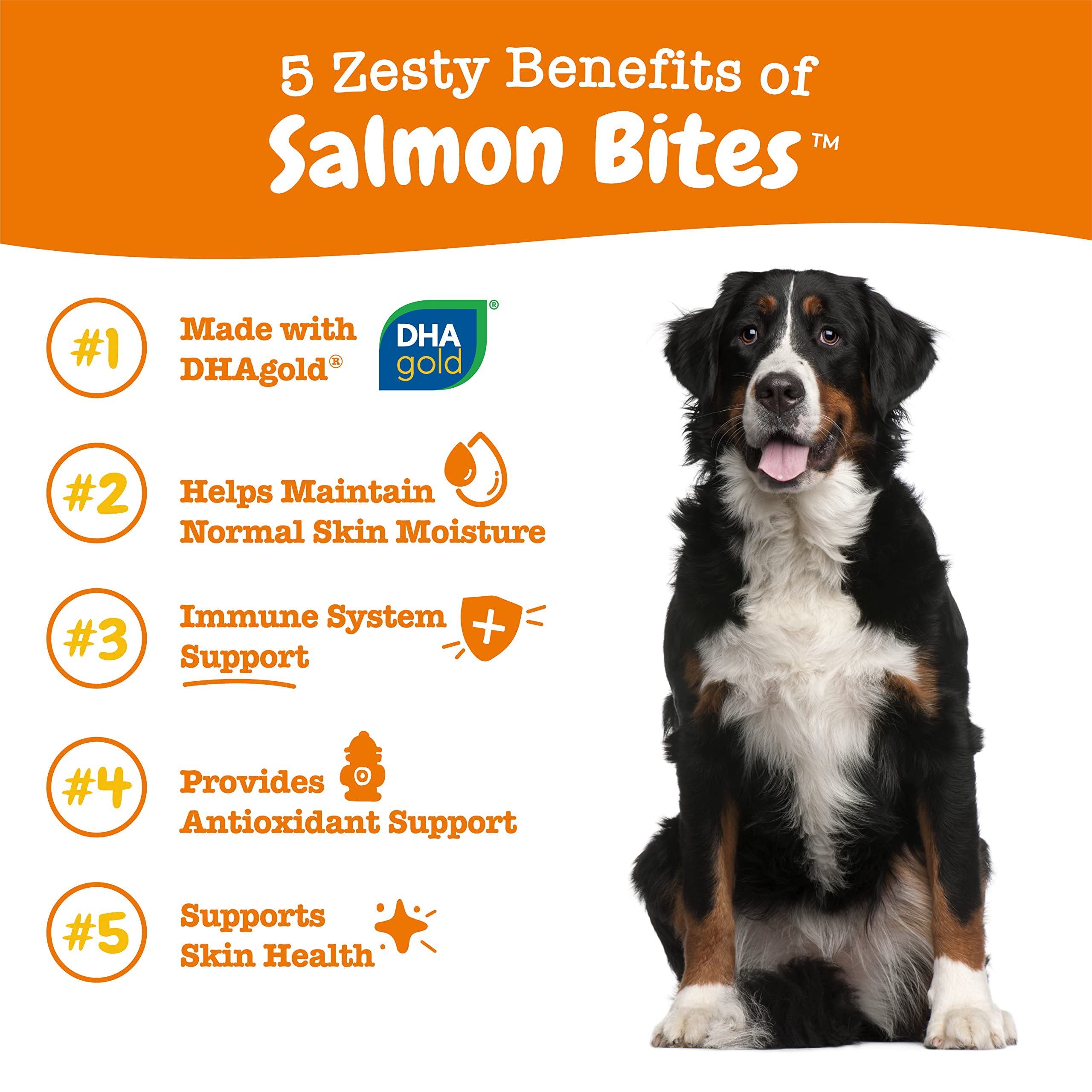 Zesty Paws Salmon Bites for Dogs - Omega 3 Fish Oil for Dogs Chews - Dog Allergy Relief Chews - Fish Oil for Dogs Joints - Itch Relief for Dogs - Dog Supplement for Arthritis - 90ct - Bacon Flavor