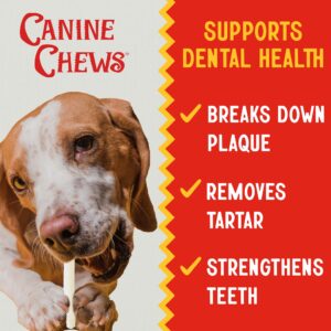 Canine Chews 10-11" Retriever Stick Rolls Rawhide for Dogs Skinny Sticks for Small Aggressive Chewing Dogs (50 Pack)