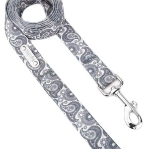 Mighty Paw Grey Paisley Designer Dog Leash - Soft Premium Polyester With Neoprene Padded Handle For Ultimate Comfort - All Metal Hardware For Most Playful Dogs - Built To Last - Perfect Everyday Leash