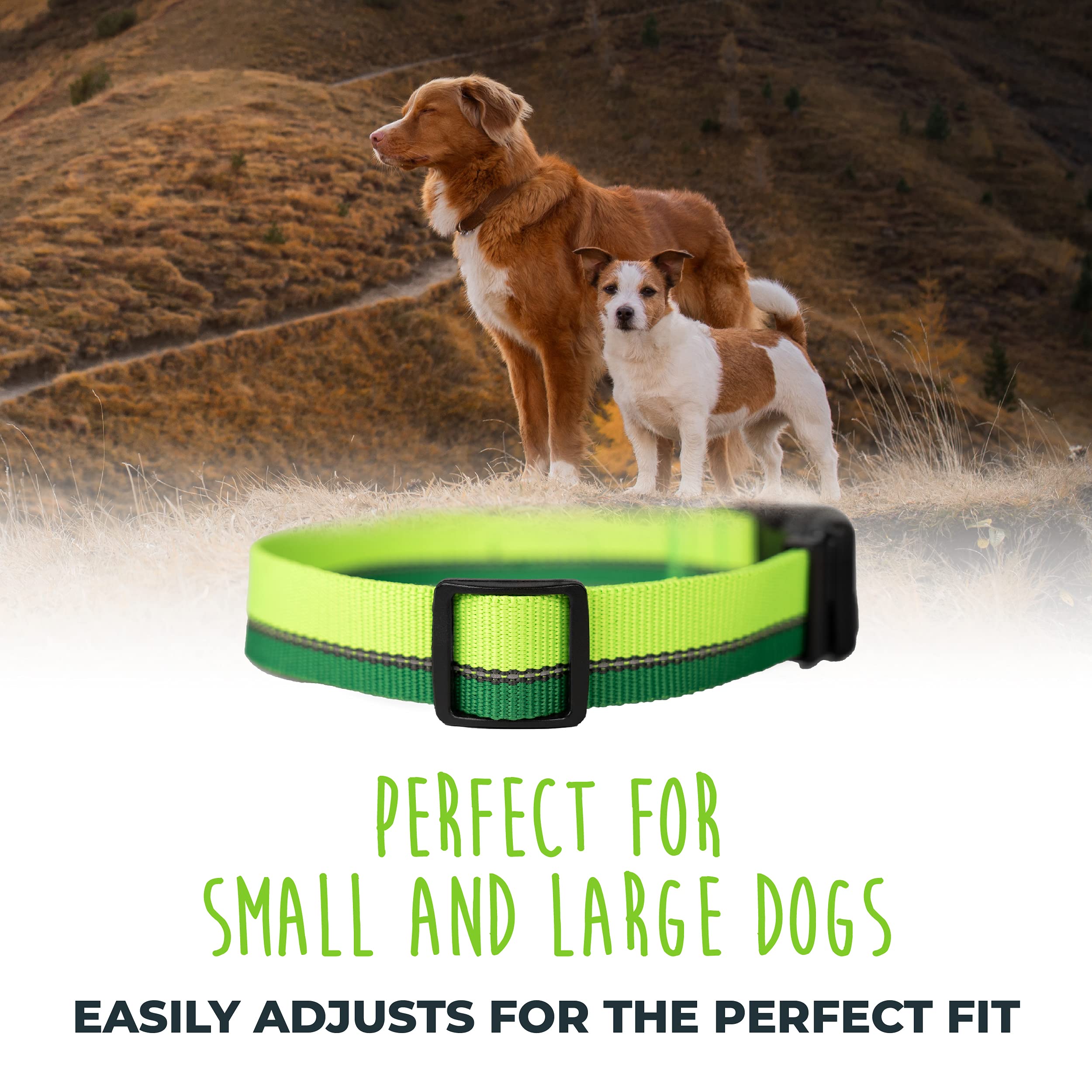 Mighty Paw Reflective Dog Collar | Premium High Visibility Collar with Reflective Stitching. Weatherproof, Heavy Duty Hardware, Stylish Colors and Design. Perfect for Small and Large Pets (Green)