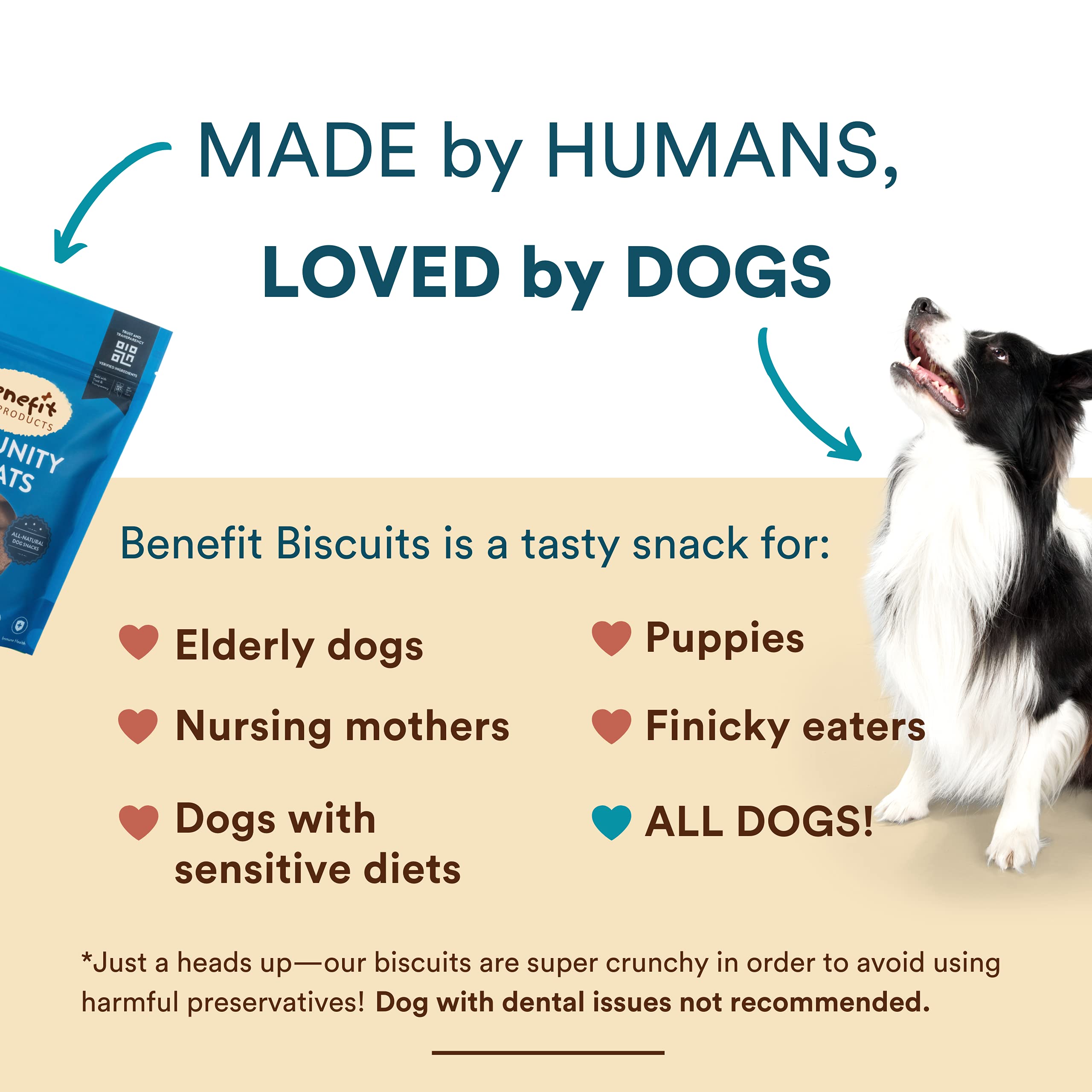 Benefit Biscuits, All Natural Dog Treats, Certified Vegan, Non GMO, Wheat Free, Healthy Dog Biscuits, Made in USA (Blueberry, Regular Bag (7oz))