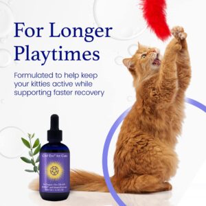 ESS60 Olive Oil for Cats - Organic Extra Virgin Olive Oil, Pure C60 ESS60 (.8 mg/mL) & Natural Salmon Essence to Support Your Cats’ Flexibility, Energy, Immunity, Longevity - 3 oz