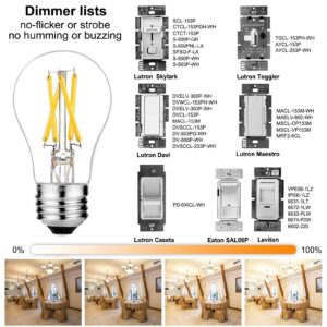 LiteHistory E26 Edison Bulb 6W=60 watt Light Bulb Dimmable Daylight 5000K Edison Light Bulb 60 Watt AC120V A15 led Bulb for Ceiling Fan,Vanity,Refrigerator,Wall scones 600lm E26 Light Bulb 6Pack