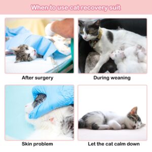 PUMYPOREITY Cat Recovery Suit After Surgery, Cat Onesie for Cats After Surgery, Cat Surgical Recovery Suit Female, Kitten Recovery Suit for Neutered/Abdominal Wound/Skin Damage/Weaning, S, Pink