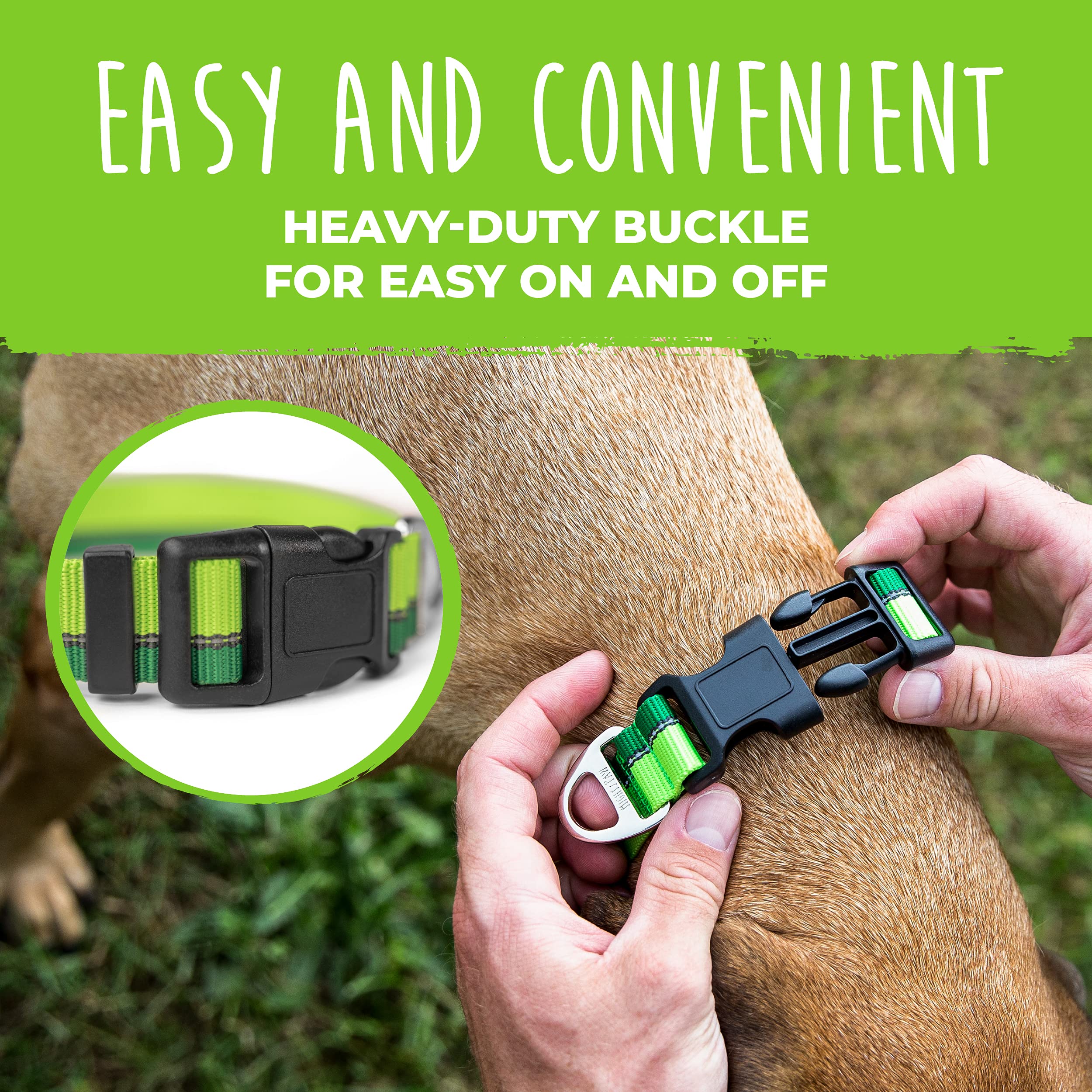 Mighty Paw Reflective Dog Collar | Premium High Visibility Collar with Reflective Stitching. Weatherproof, Heavy Duty Hardware, Stylish Colors and Design. Perfect for Small and Large Pets (Green)