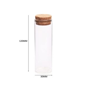 ericotry 10 Pcs 60ml Glass Bottles Vials Jars Glass Test Tube with Cork Stoppers Empty Refillable Bottle Vial Jars Leakproof for Cosmetic Essential Oil Powder