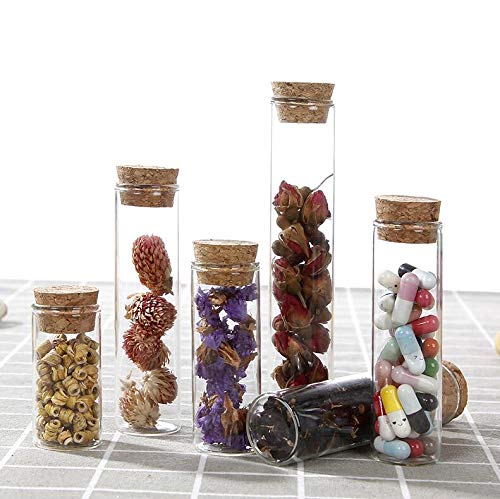 ericotry 10 Pcs 60ml Glass Bottles Vials Jars Glass Test Tube with Cork Stoppers Empty Refillable Bottle Vial Jars Leakproof for Cosmetic Essential Oil Powder