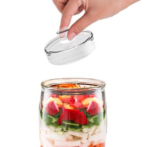 Jucoan 9 Pack Glass Fermentation Weights with Easy Grip Handle, Heavy Glass Fermenting Lids Kit for Wide Mouth Mason Jar Pickle Jar Fermenting Sauerkraut Kimchi