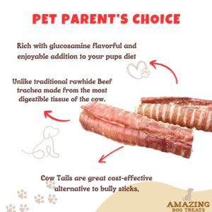 Amazing Dog Treats - 6 Inch Beef Trachea Dog Chews (10 pcs - 16.5 oz) - Trachea Dog Treats - NO Hide - Digestible and Safe Chews for Dogs - Glucosamine and Chondroitin for Joint Health