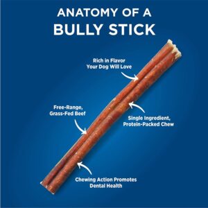 Barkworthies Odor Free Bully Sticks - 2 Pack (5 ct 6 inch) Premium Long Lasting, Protein-Packed, Grain Free Dog Treats and Dog Chews for Aggressive Chewers - Promotes Healthy Teeth for Dogs - E-Book